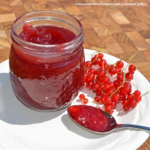 Red Currant Jelly Recipe (2 Ingredients, No Added Pectin)