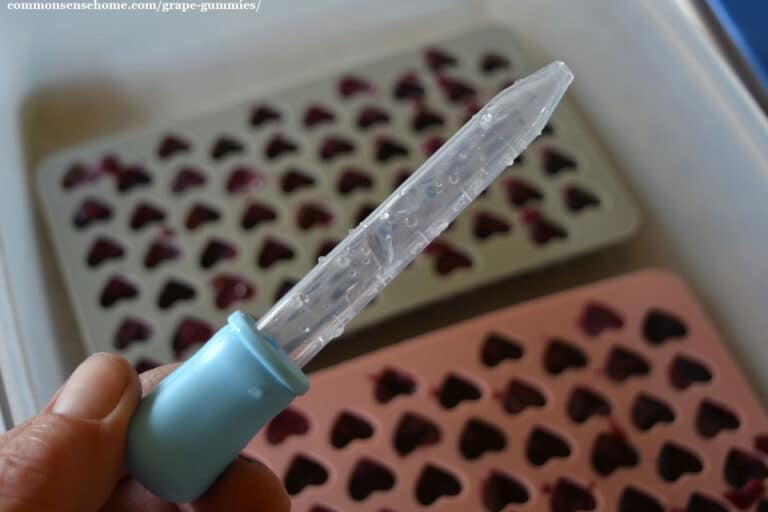 Grape Gummies Made with Juice (Easy Recipe)