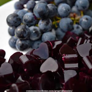 Grape Gummies Made with Juice (Easy Recipe)
