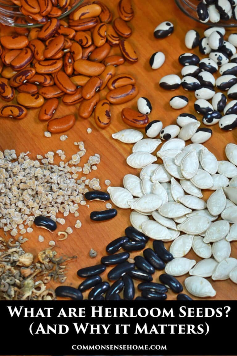 What are Heirloom Seeds? (And Why it Matters)