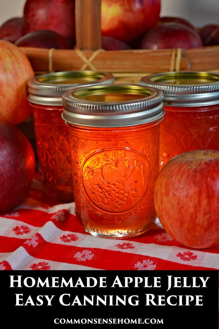 Easy Apple Jelly Recipe (Just 2 Ingredients)