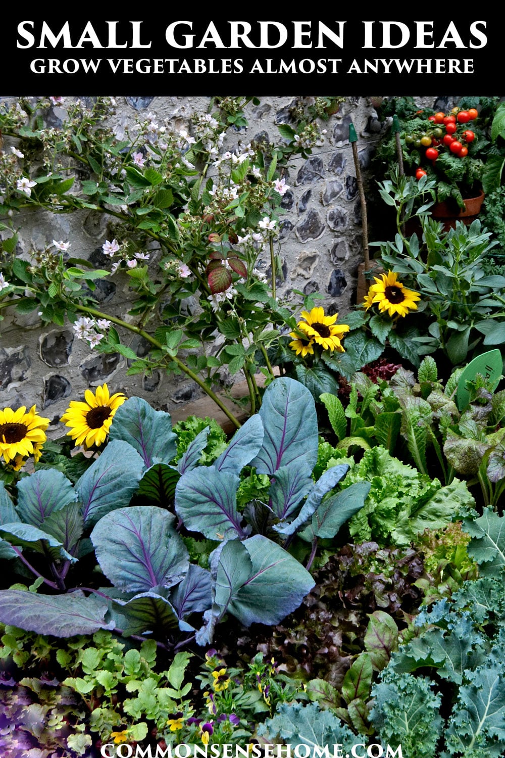 8 Small Vegetable Garden Ideas & Growing Tips