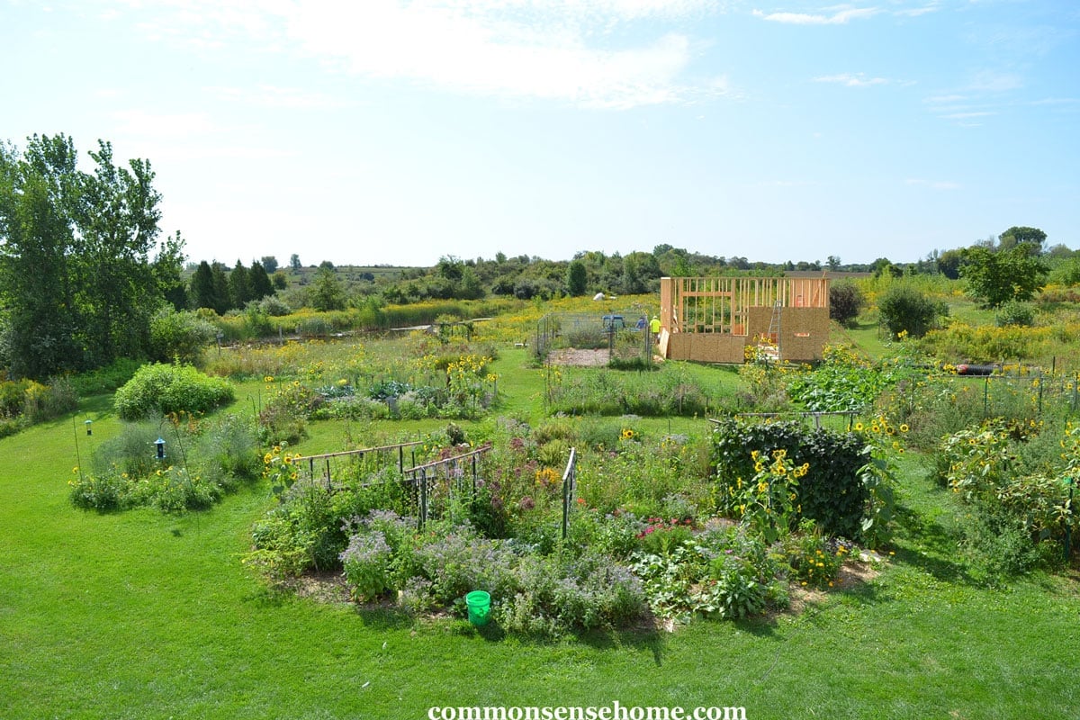 About Common Sense Home - Who We Are and What We Do