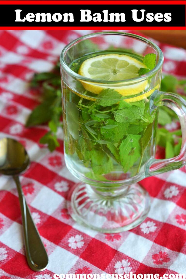 Lemon Balm Benefits & Uses