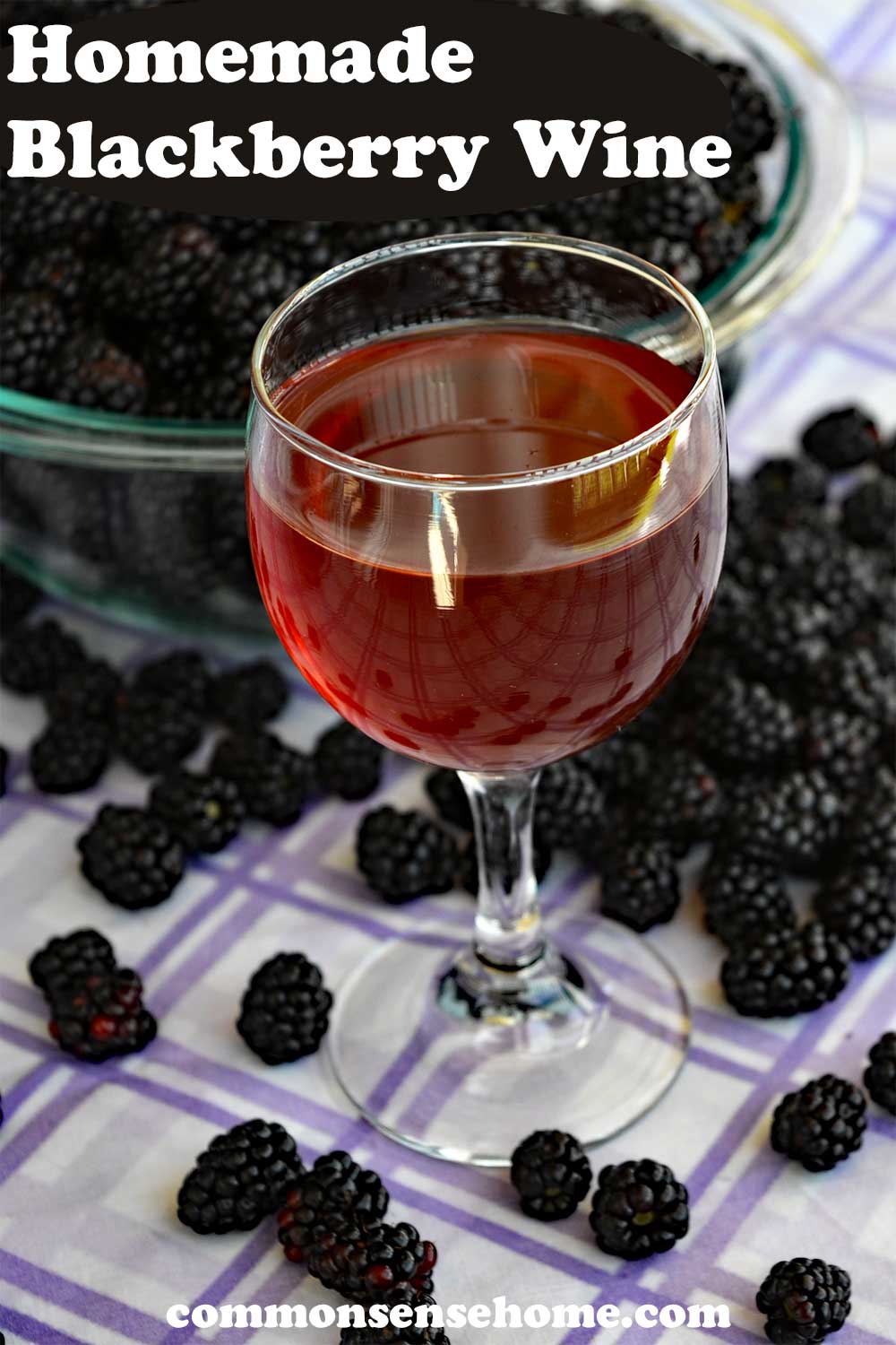 Easy Homemade Blackberry Wine Recipes
