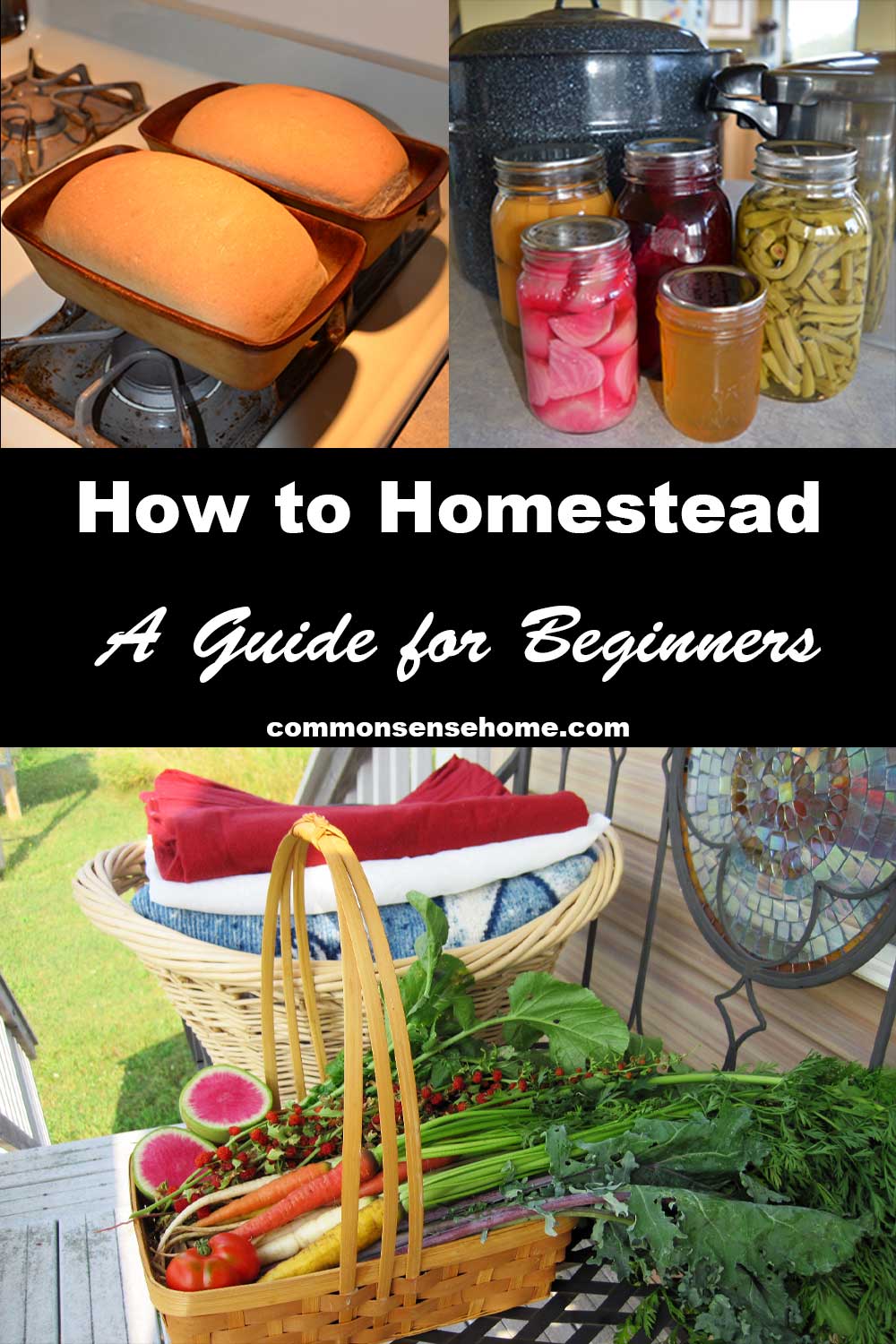 How to Homestead - A Guide for Beginners