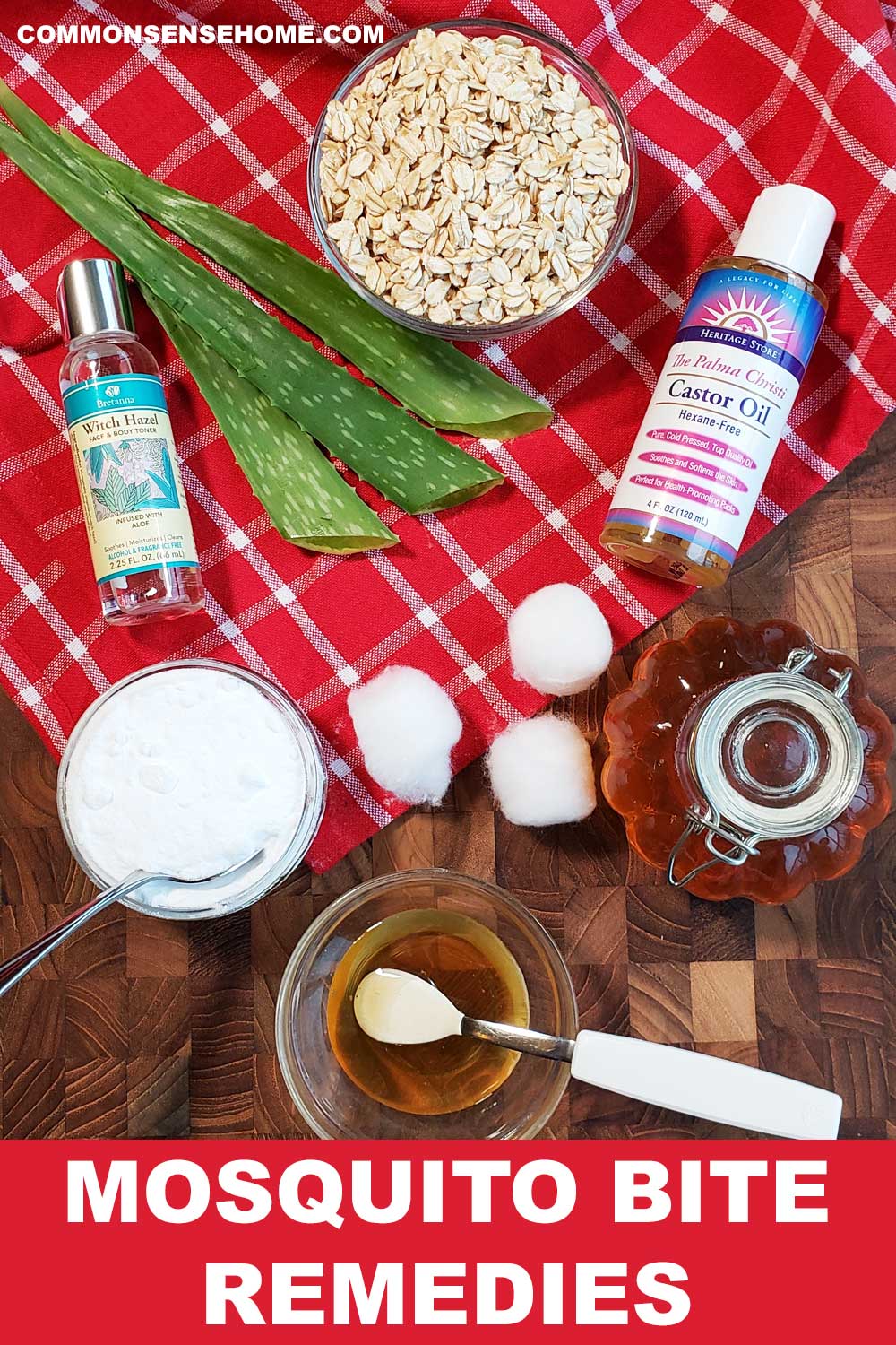 Mosquito Bite Relief - Home Remedies to Stop the Itch