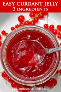 Old Fashioned Currant Jelly Recipe - No Added Pectin